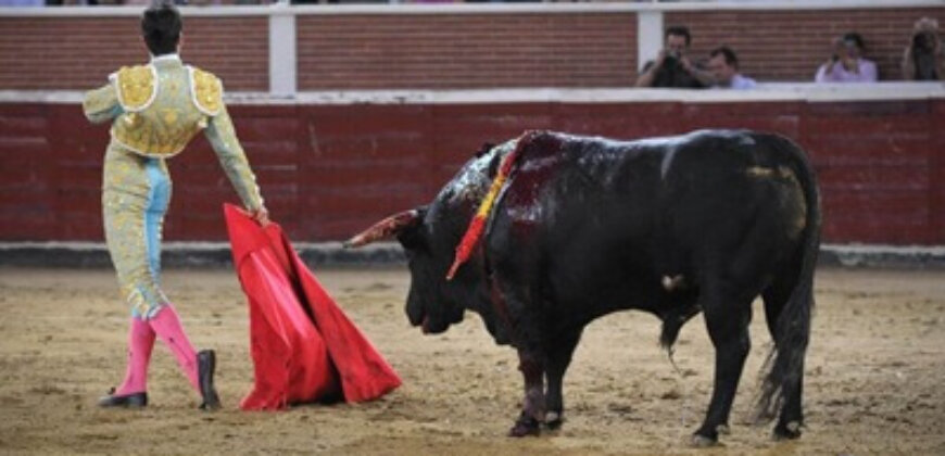 5 Actions of the Month to Help End Speciesism - PETA UK