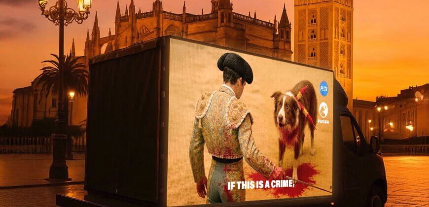 Dog or Bull? PETA and PACMA's controversial anti-bullfighting ad truck ...