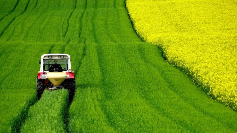 The Future of British Farming - PETA UK