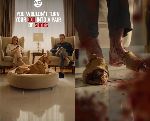 PETA Shocks with Bloody AI Video of Beloved Dog Ripped Apart for ...