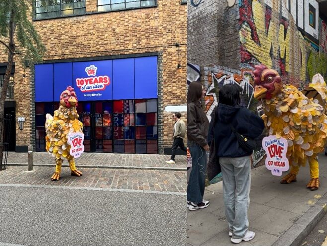 Photos: Giant PETA ‘Chicken’ Crashes Amelia Dimoldenberg’s Live Event ...