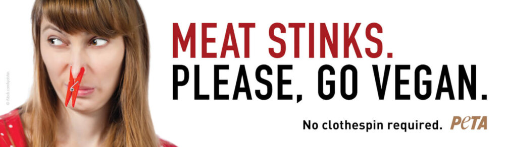 “Meat Stinks”: New Pig Unit Prompts PETA Billboard in Yorkshire Village ...