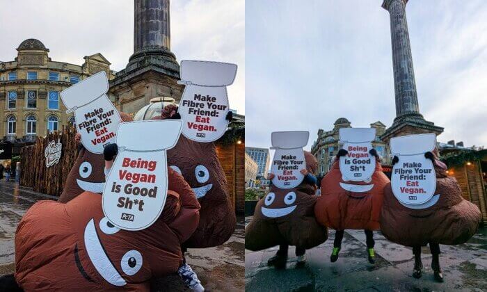 Photos: UK’s ‘Most Constipated' Region Visited by PETA’s ‘Poop’ Brigade ...