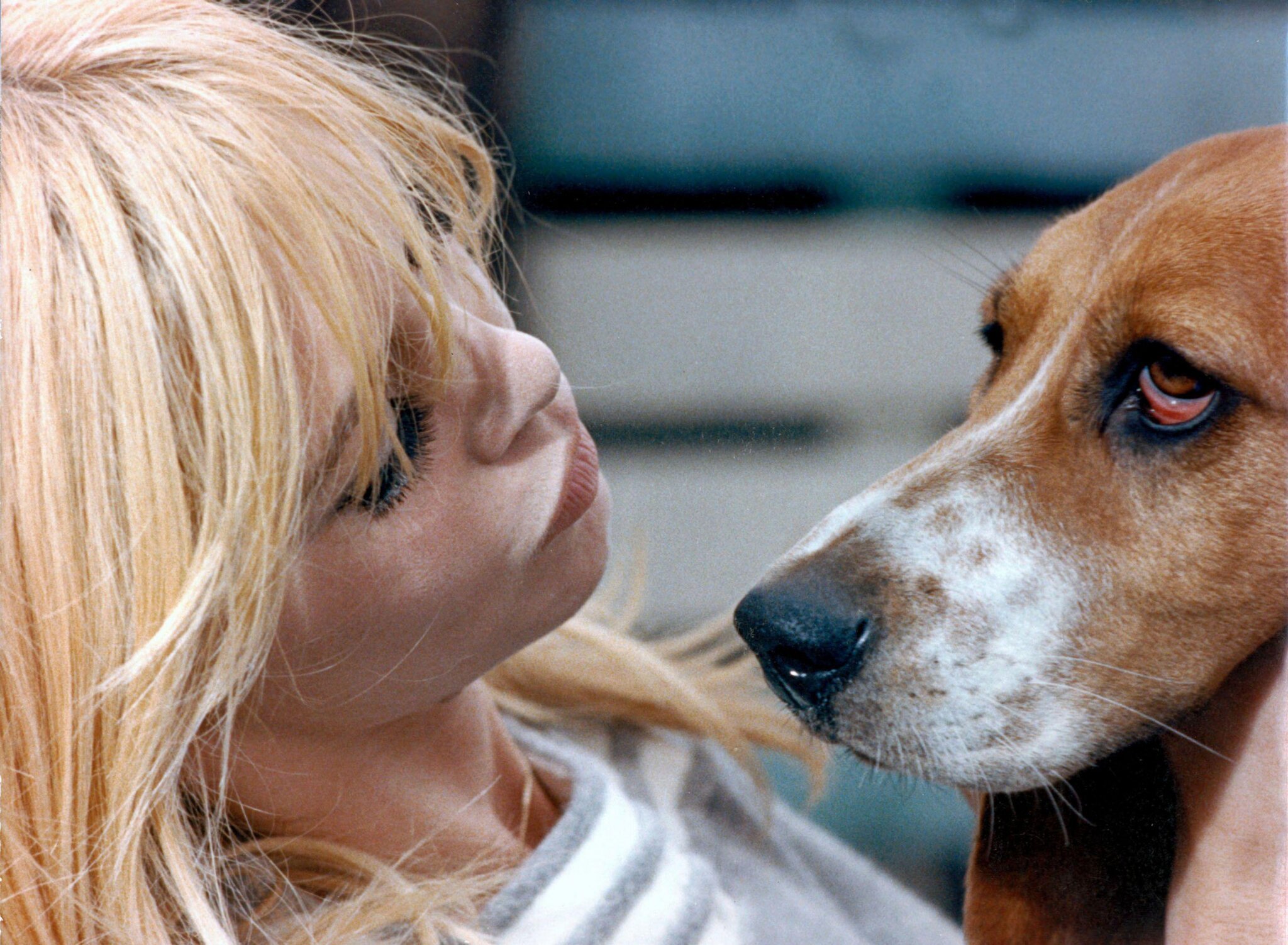 Brigitte Bardot: Championing Animal Rights Is ‘What I Always Wanted’