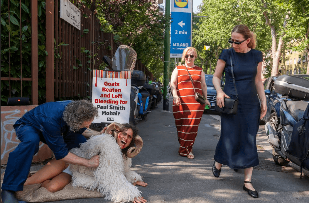 Breaking: PETA Supporter Storms Paul Smith Catwalk Over Mohair Cruelty ...